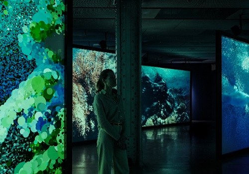 Reconocimiento a la instalación inmersiva 'Seeing Echoes in the Mind of ...